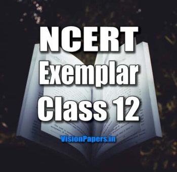 [Direct PDF] NCERT Exemplar Class 12 Books - VisionPapers